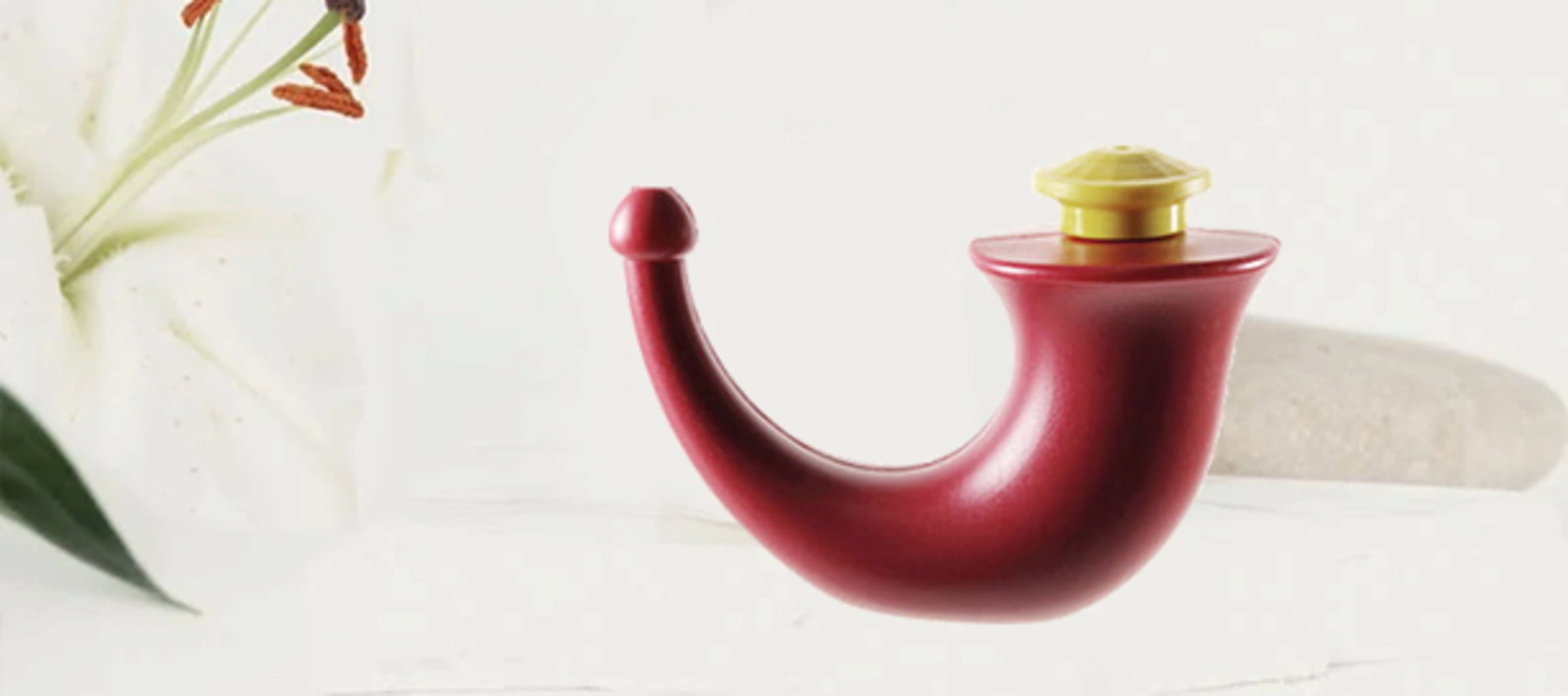 Nasal Cleansing with Jala Neti - Ayurveda Magazine - Ayurveda 101 ...