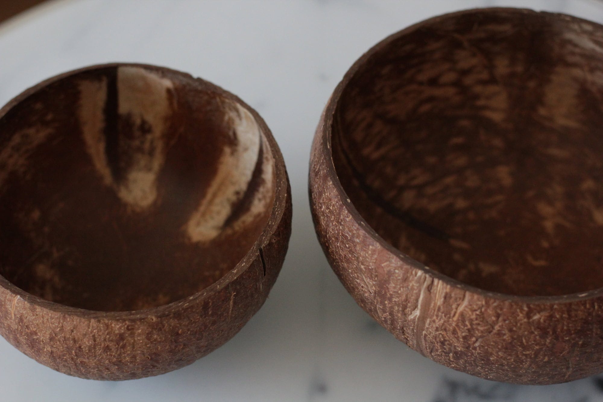 Balu Bowls Bol en Noix de Coco Naturel - Ayurveda 101 France